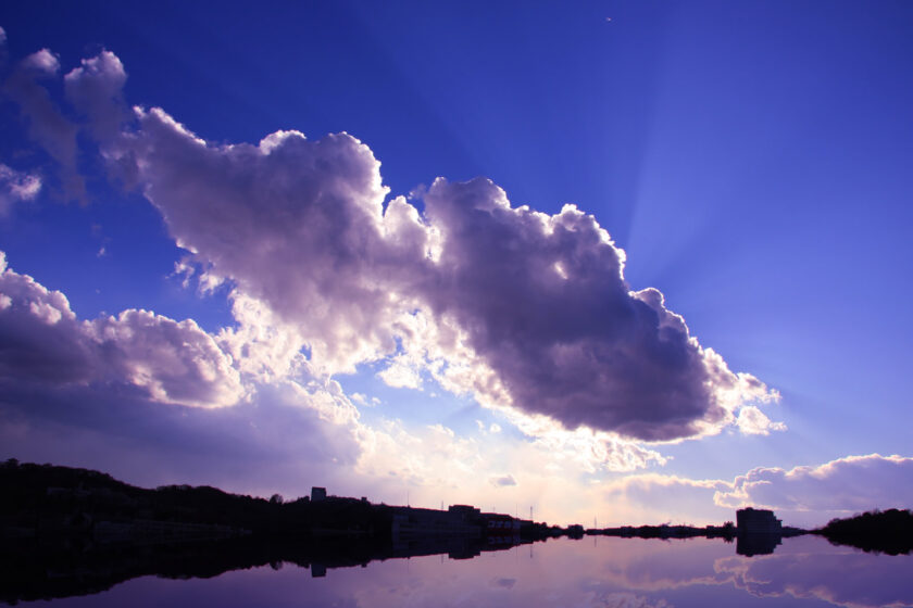 新入社員のお知らせ - Ptif株式会社